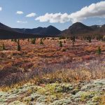 Robert Service Campground - Yukon Wide Attractions & Services!